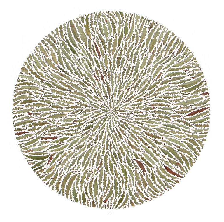 Awards | Janine Mackintosh, Artist