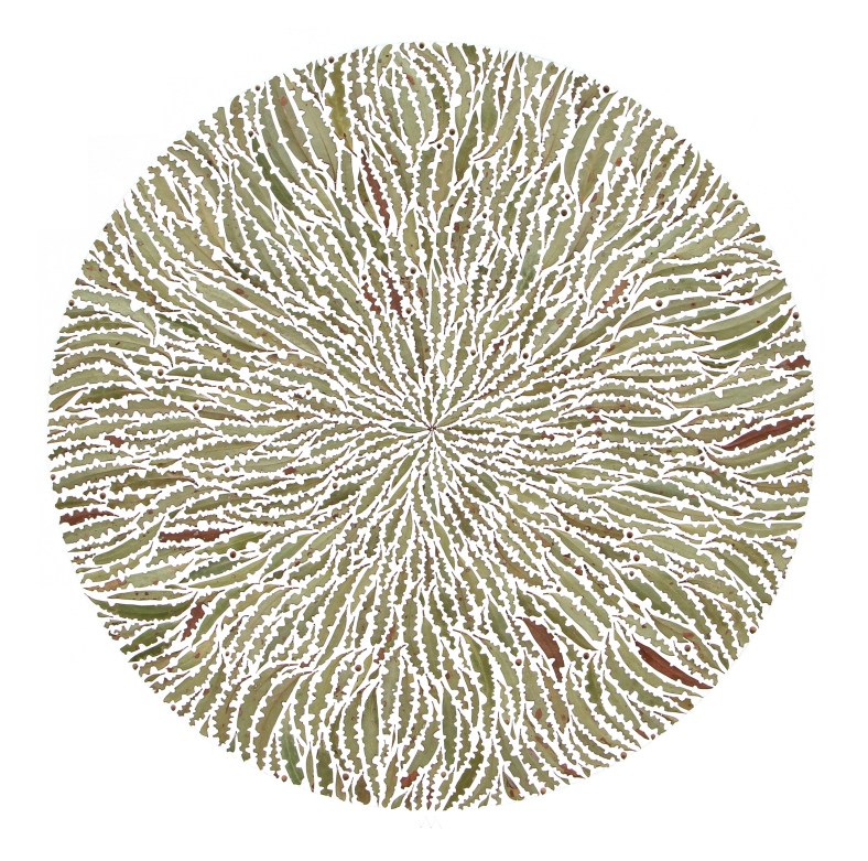 Awards | Janine Mackintosh, Artist