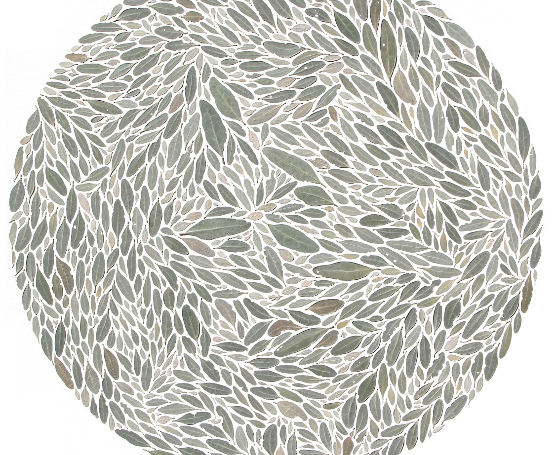 Janine Mackintosh, Artist | Kangaroo Island, Australia