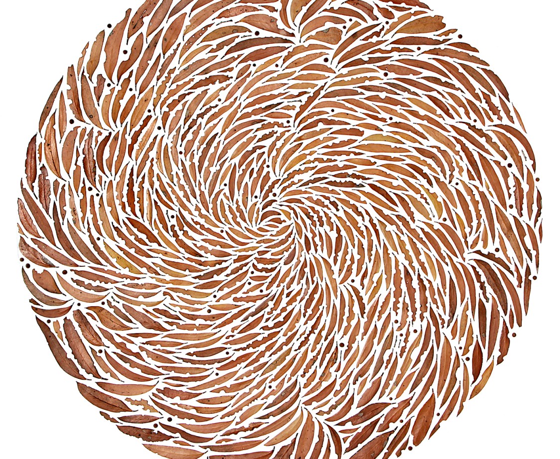Janine Mackintosh, Artist | Kangaroo Island, Australia